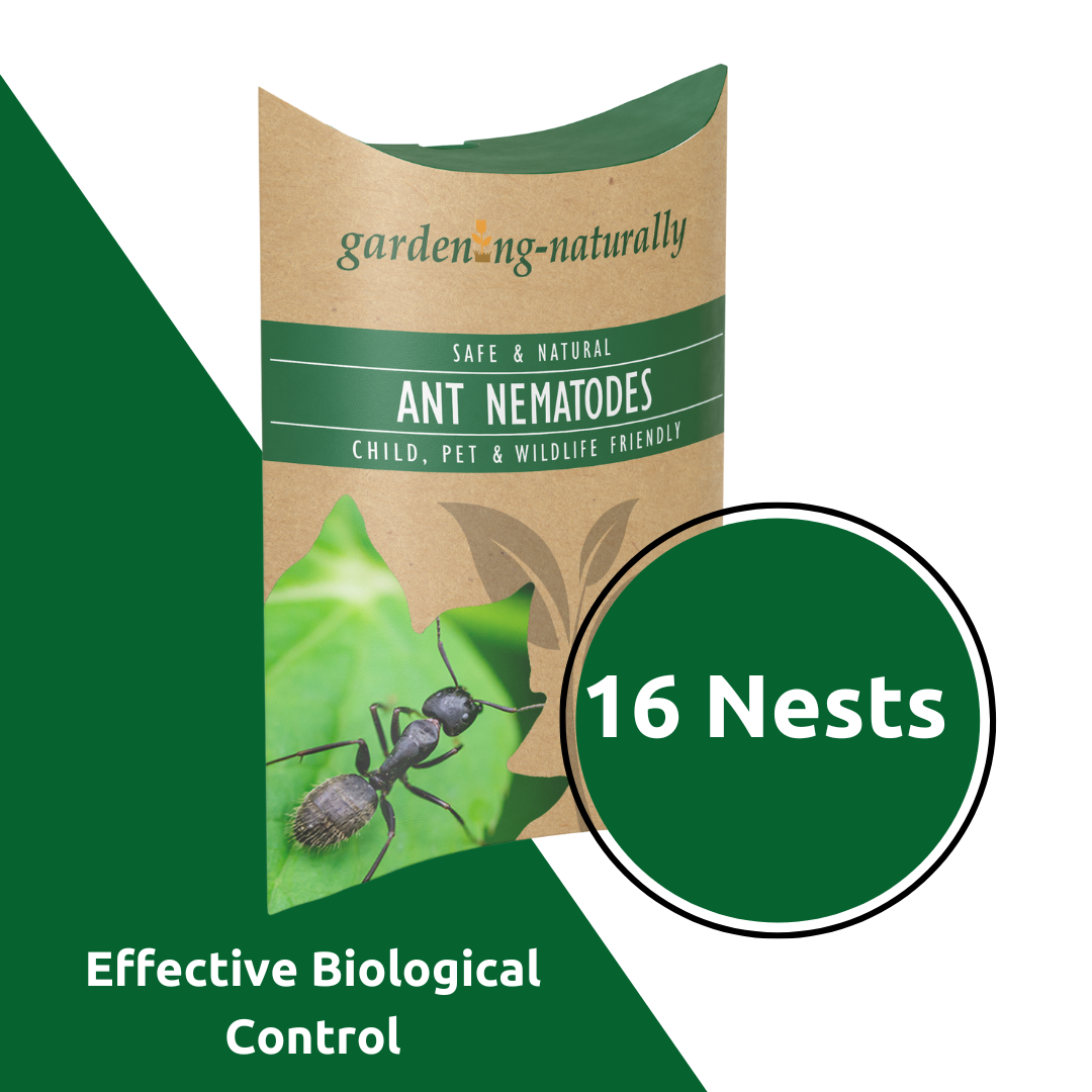 Nematodes For Ants in Lawns and Gardens – Slug Nematodes