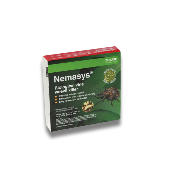 Vine Weevil Nematodes – Slug Nematodes